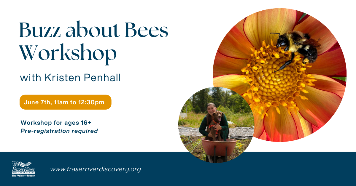 Buzz about Bees Workshop - Tourism New Westminster